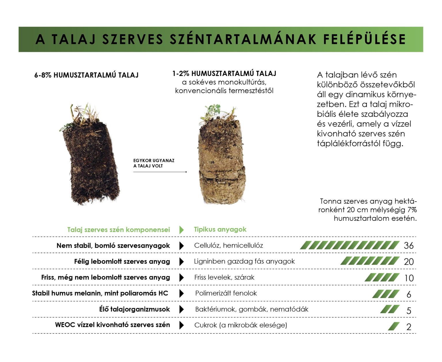 How to improve soil through regenerative agriculture - Soil Renewal ...