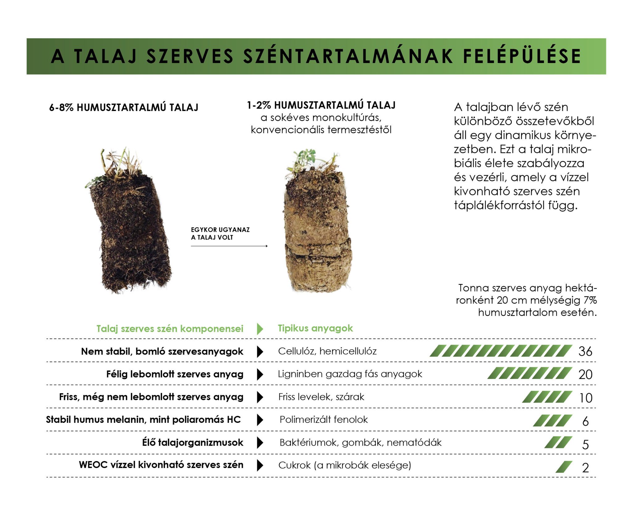 How to improve soil through regenerative agriculture - Soil Renewal ...